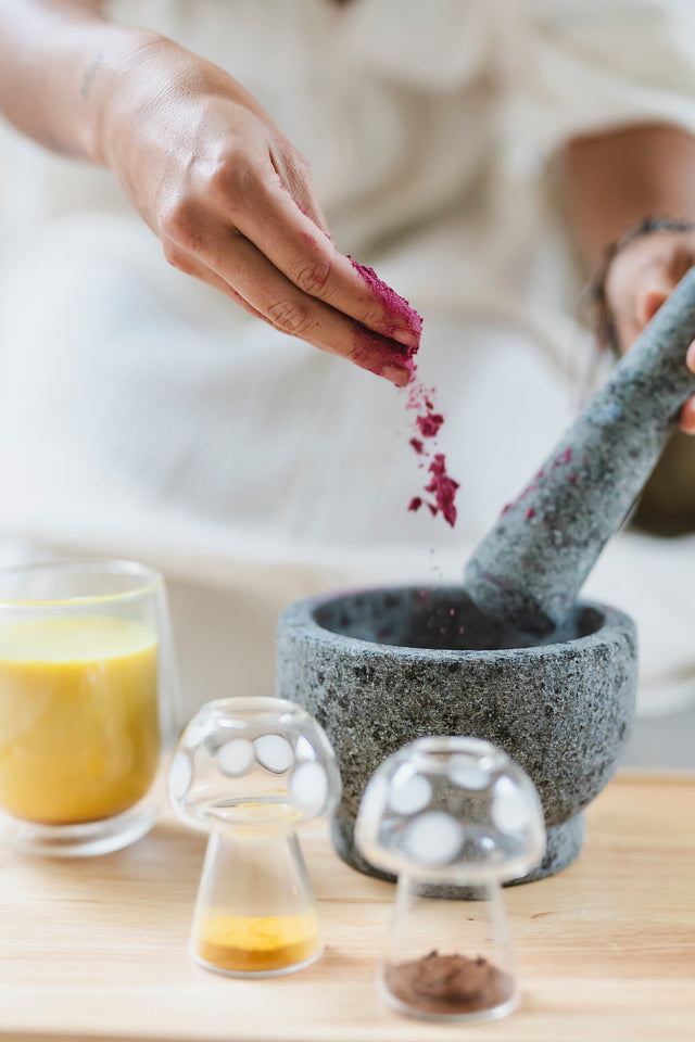 ¿Qué es Padam? – PADAM Bienestar